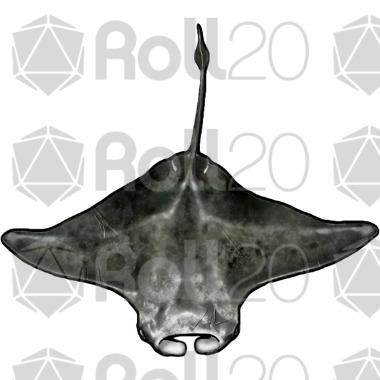 Fantasy Tokens Set 89, Aquatic Creatures | Roll20 Marketplace: Digital ...