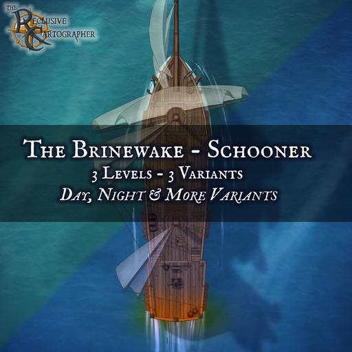 The Brinewake – 3 Level Schooner Ship Battle Map (22x54) | D&D ...