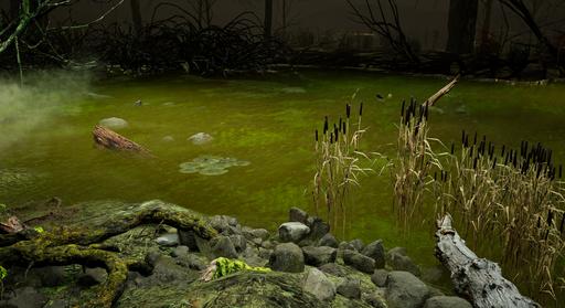 Berez Swamps - Curse of Strahd - Animated Battlemaps | Roll20 ...